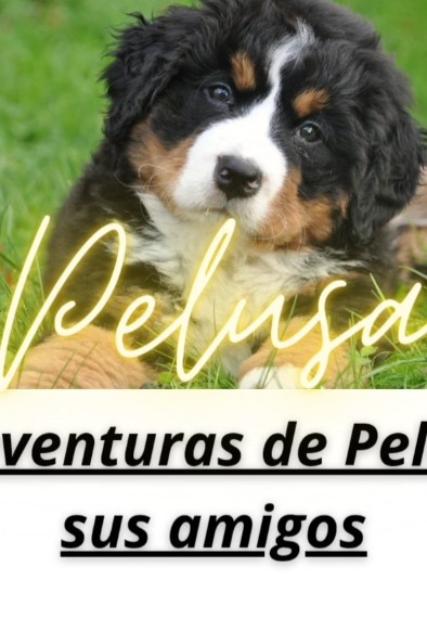 las aventuras de pelusa y sus amigos-Dreame