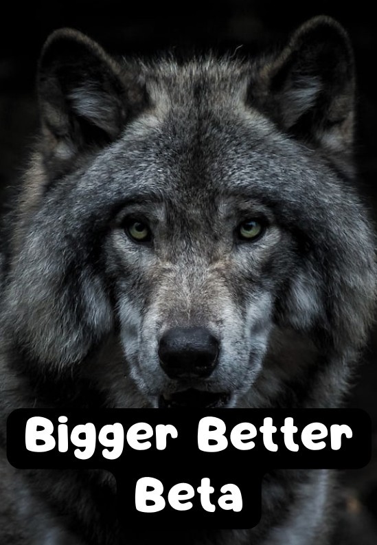 The Bigger Better Beta-Dreame