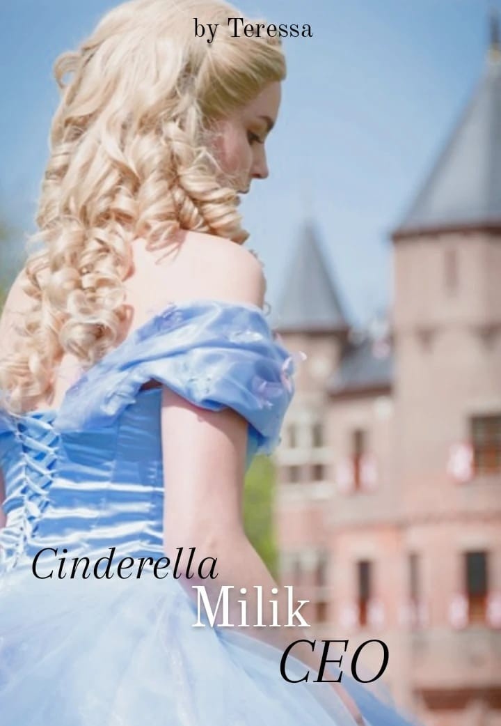 Cinderella Milik Ceo Dreame