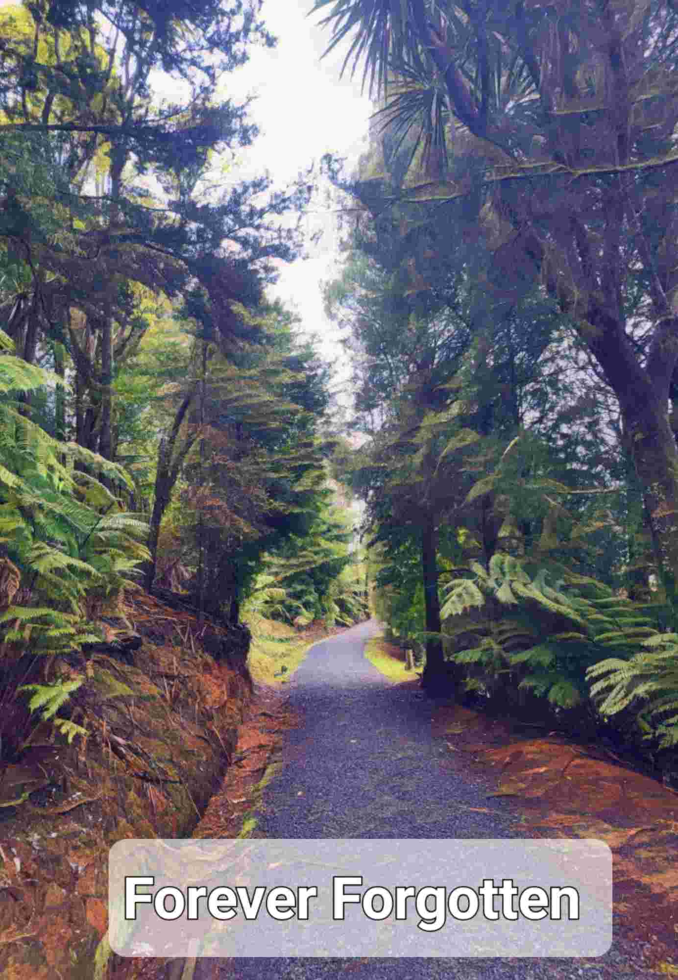 Forever Forgotten-Dreame