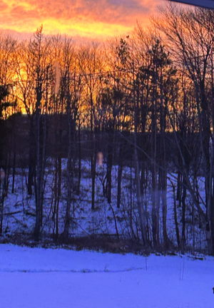 ALTERNATIVE Version of My Best Friend Grant-Dreame