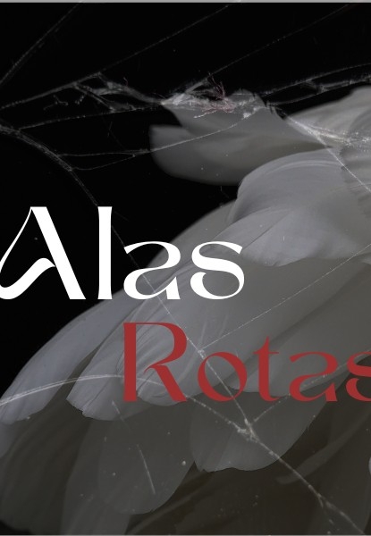 Alas Rotas-Dreame