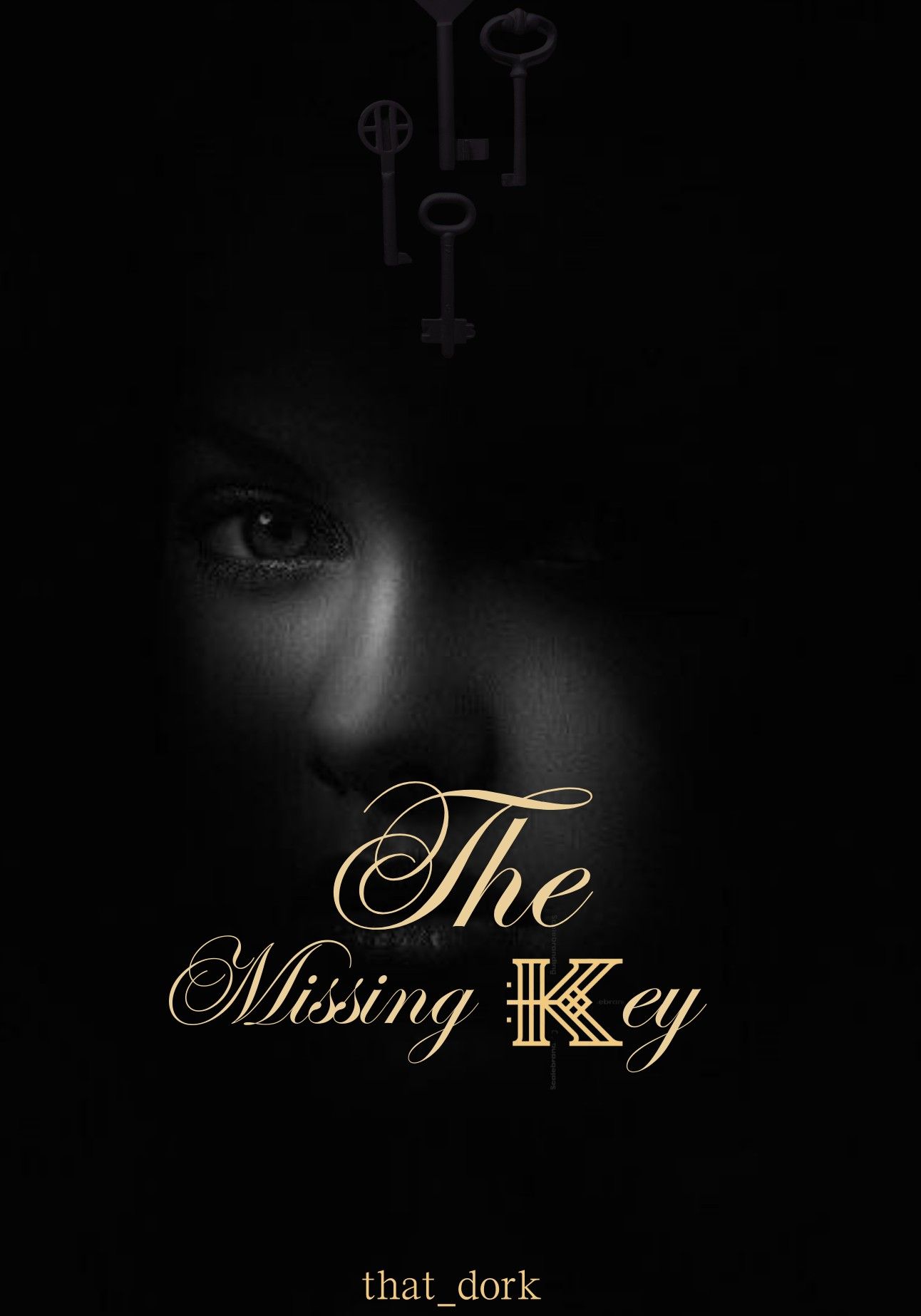 The Missing Key-Dreame