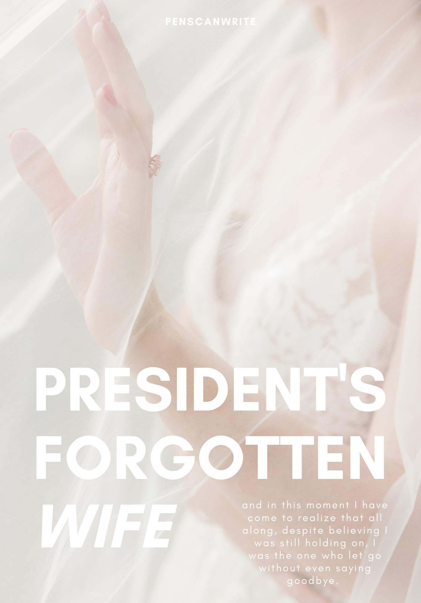 PMS1: President's Forgotten Wife-Dreame
