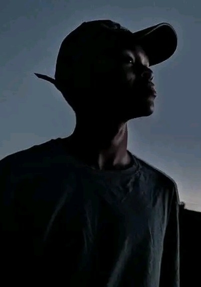 Shawn the fallen boy-Dreame