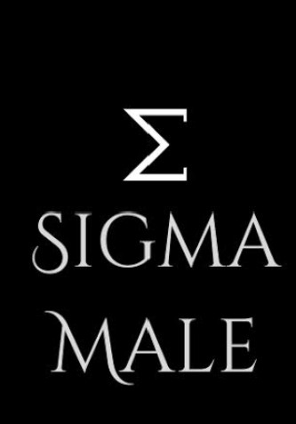 THE SIGMA MALE-Dreame