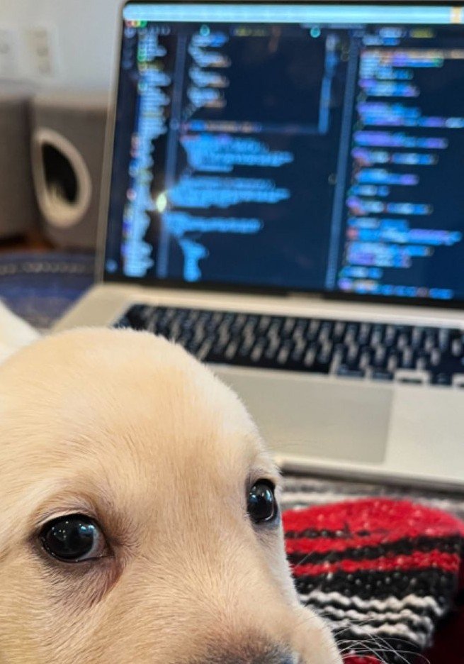 Top 20 Visual Studio Code Awesome Themes for both Junior and Senior ...