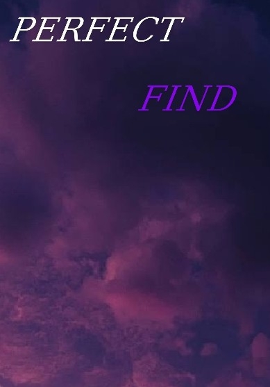 Perfect Find-Dreame