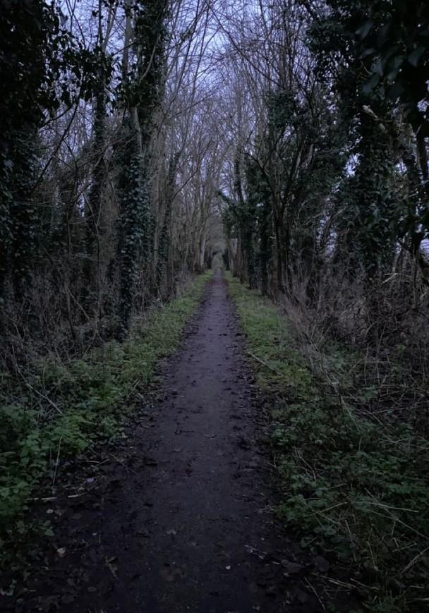 The Dark Pathway-Dreame