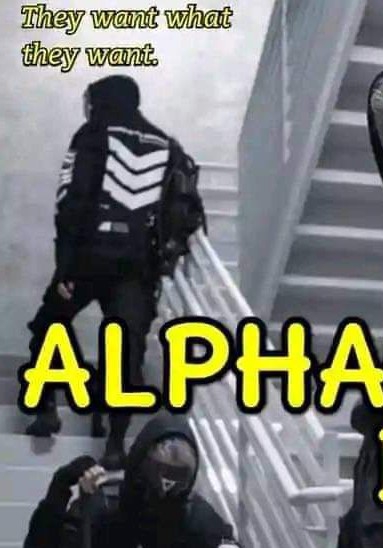 Alpha boys-Dreame