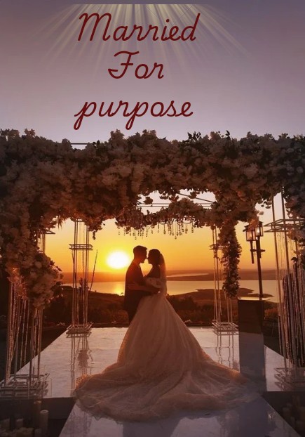 married for purpose-Dreame
