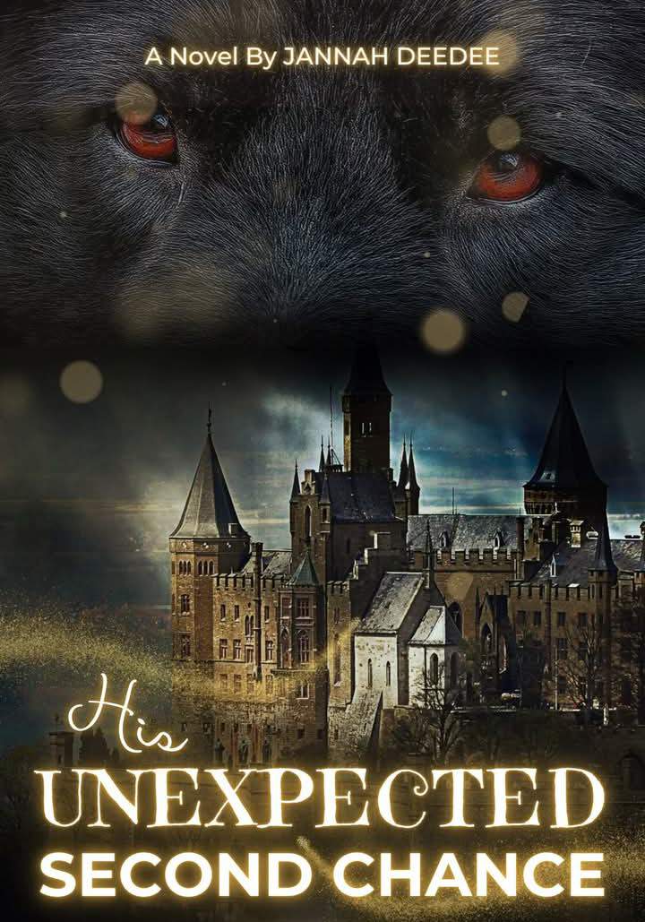 His Unexpected Second Chance-Dreame